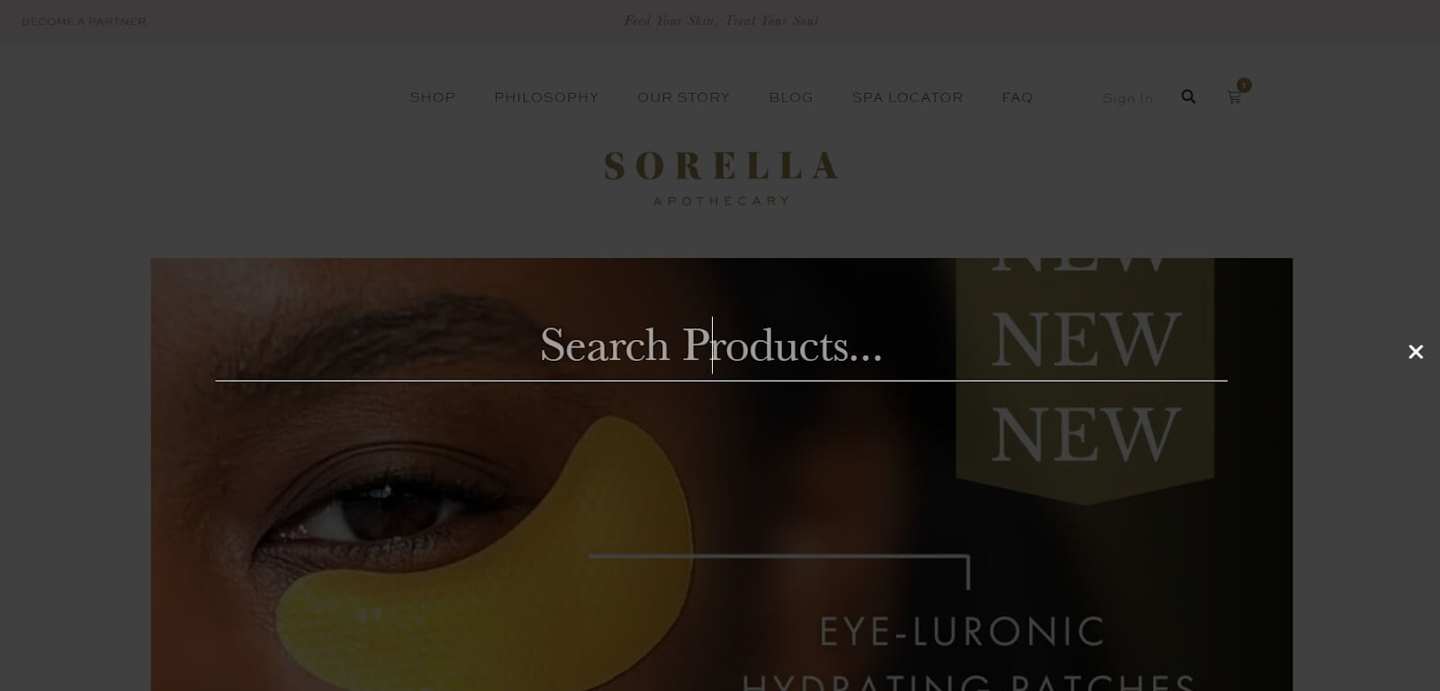 Case Study: How Sorella Apothecary became a renowned cosmetic brand ...